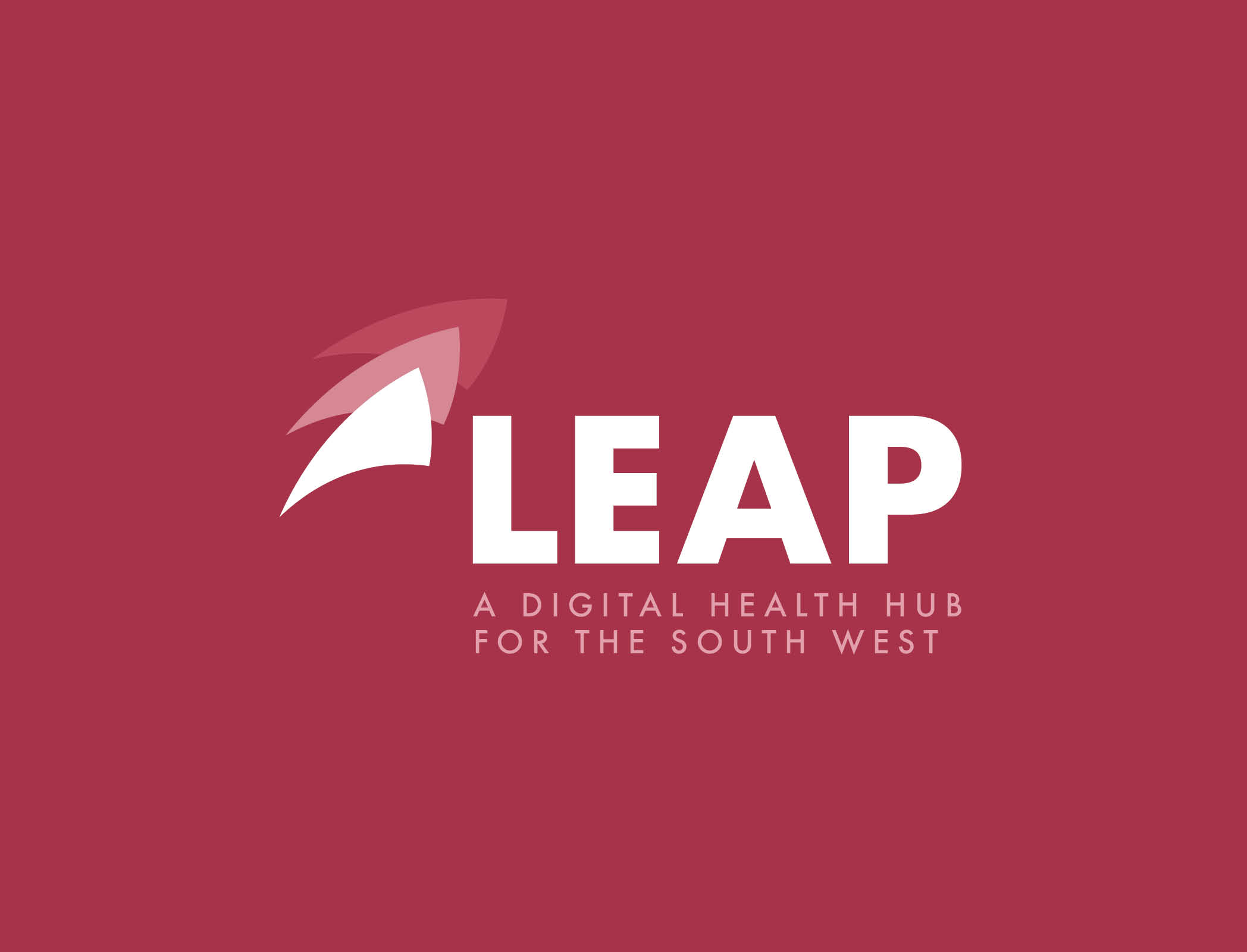 LEAP DIGITAL HEALTH HUB – JamboxDesignCo